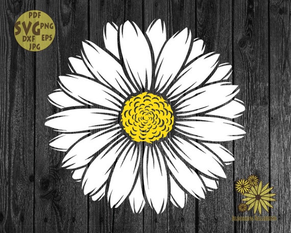 Daisy Svg Floral Svg White Flower Svg Wedding Flower Svg | Etsy