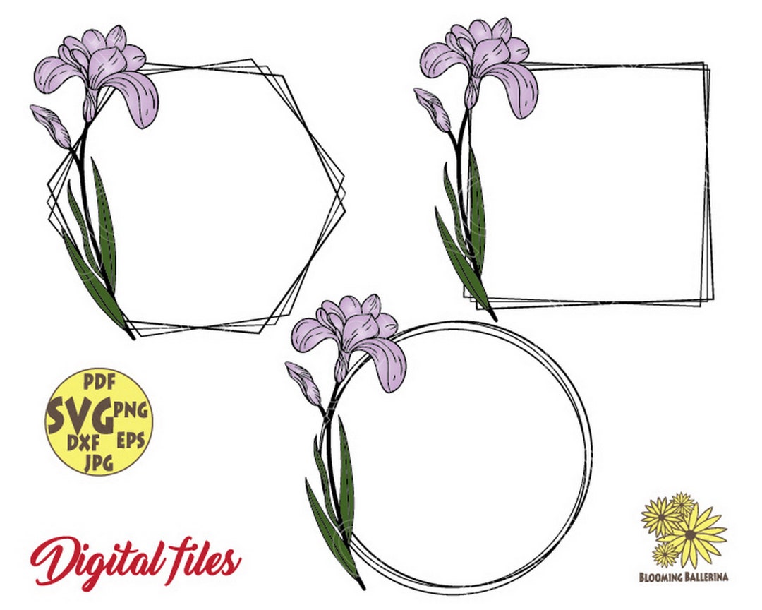 Iris Frames Bundle Svg File, Iris Svg, Iris Flower Svg, February Birth ...