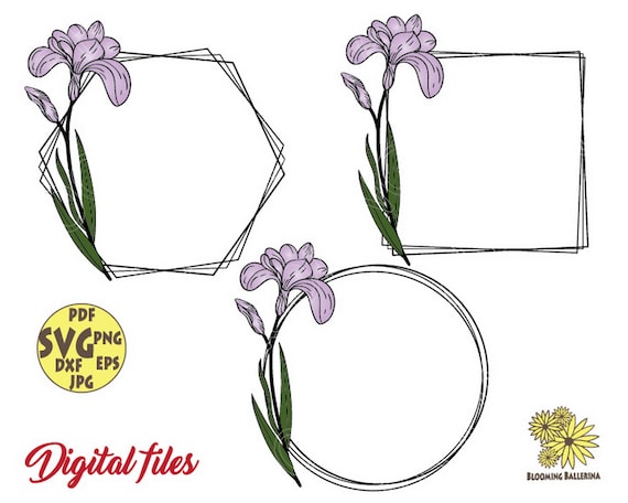 Iris Frames Bundle Svg File Iris Svg Iris Flower Svg | Etsy