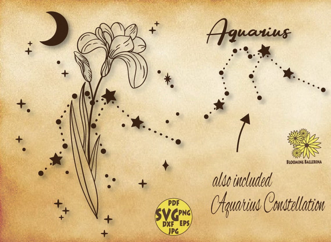 Iris Birth Flower Svg File February Birth Flower Svg | Etsy