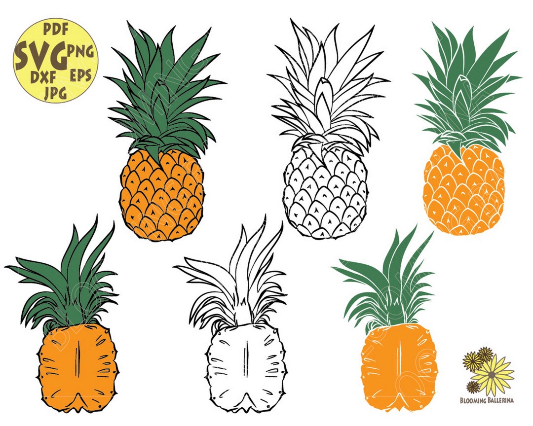 Pineapple Bundle Svg, Half Pineapple Svg, Summer Svg, Tropical Svg ...