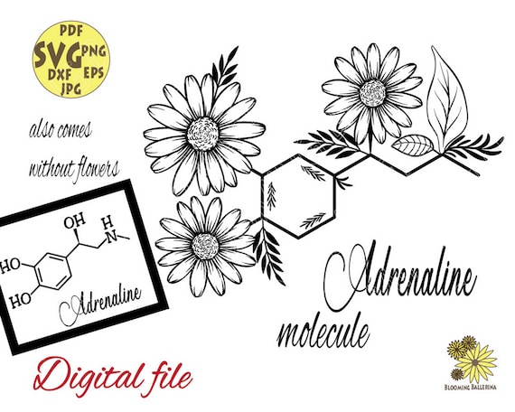 Adrenaline Molecule With Daisies and Leaves Svg Floral | Etsy