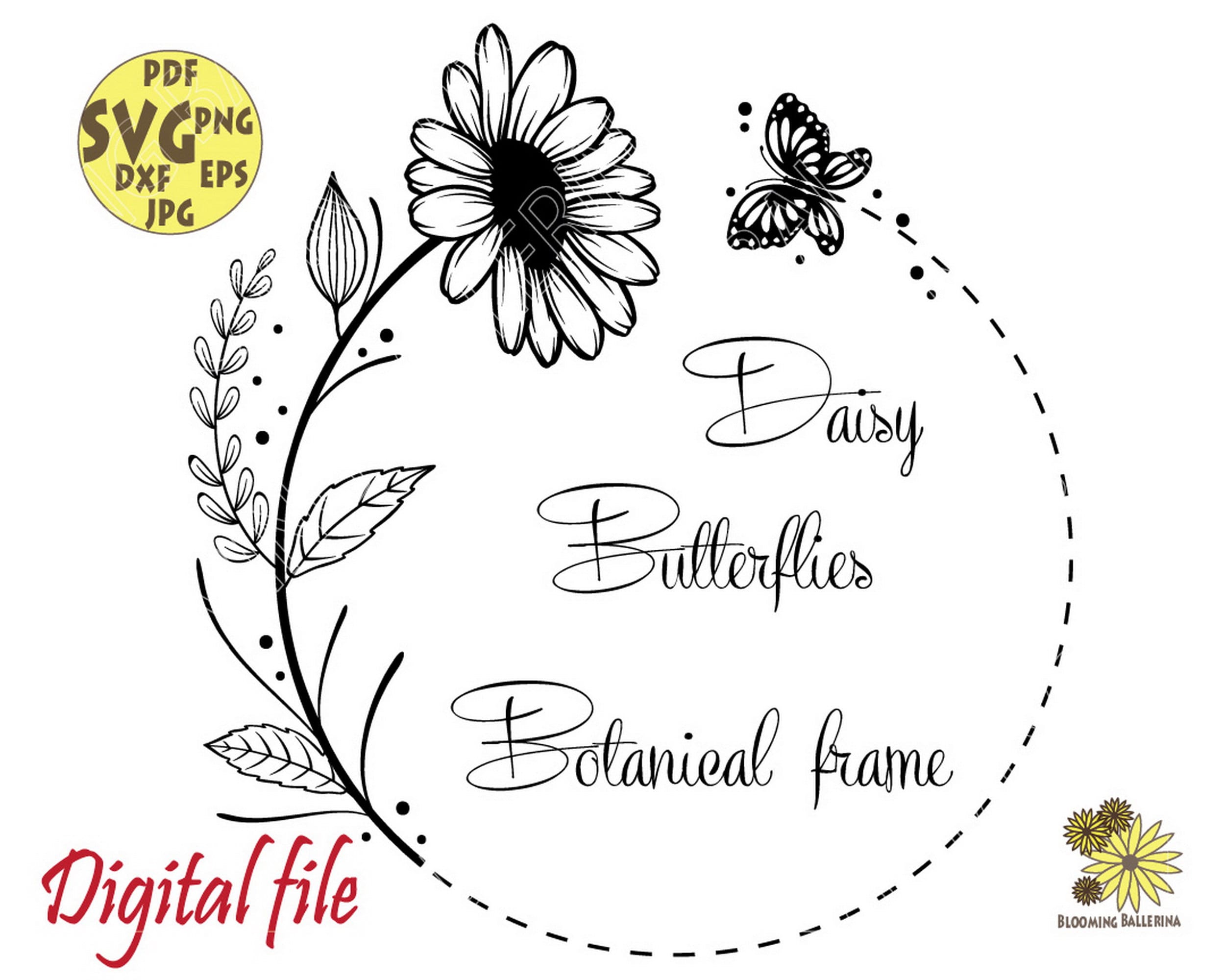 Flower Circle Frame With Daisy Leaves and Butterfly Svg File - Etsy