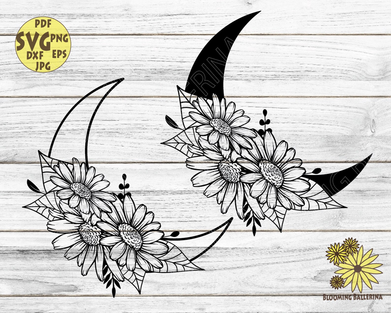 Moon With Daisy Flowers and Leaves Svg File Flower Moons Svg - Etsy