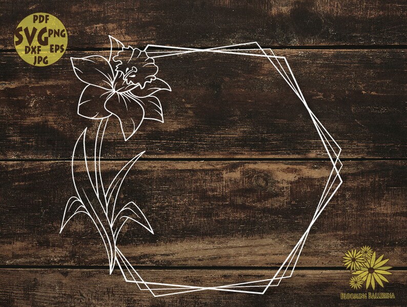 Bundle Narcissus Monogram Frame Svg File, Daffodil Frame, Narcissus ...