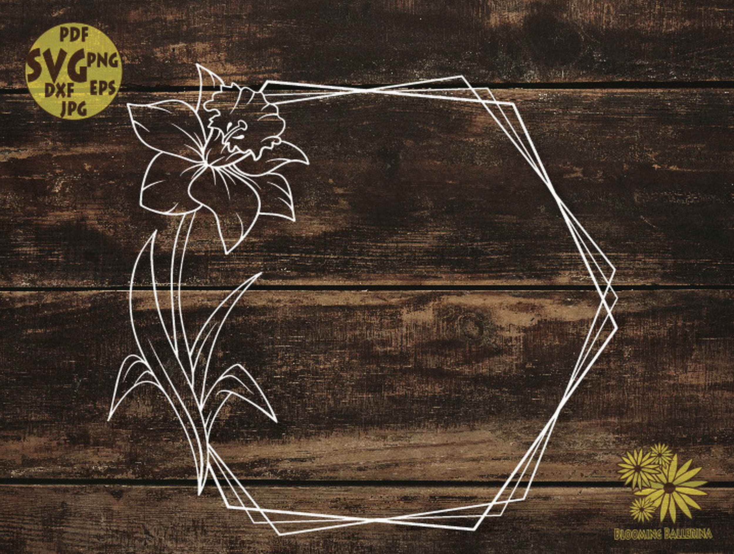 Bundle Narcissus Monogram Frame Svg File, Daffodil Frame, Narcissus ...