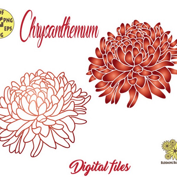 Chrysanthemum - Etsy