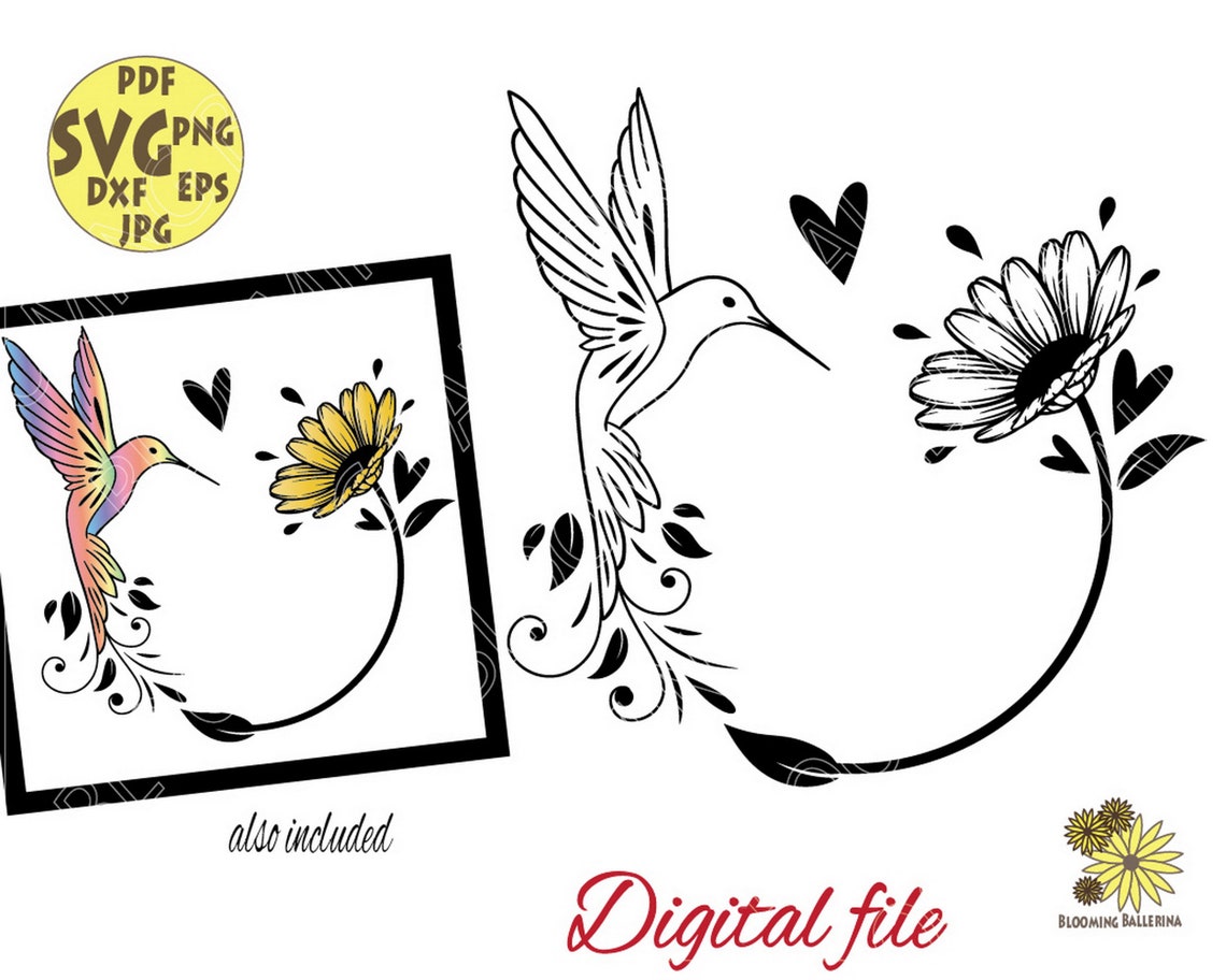 Botanical Circle Frames with Hummingbird Daisy Leaves and | Etsy