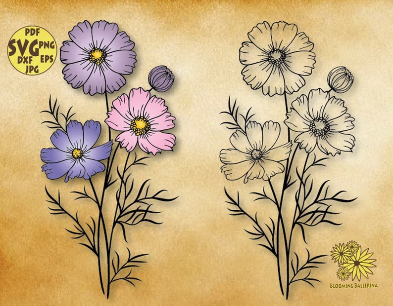 Cosmos Flower Bouquet Svg File October Birth Flower Svg - Etsy