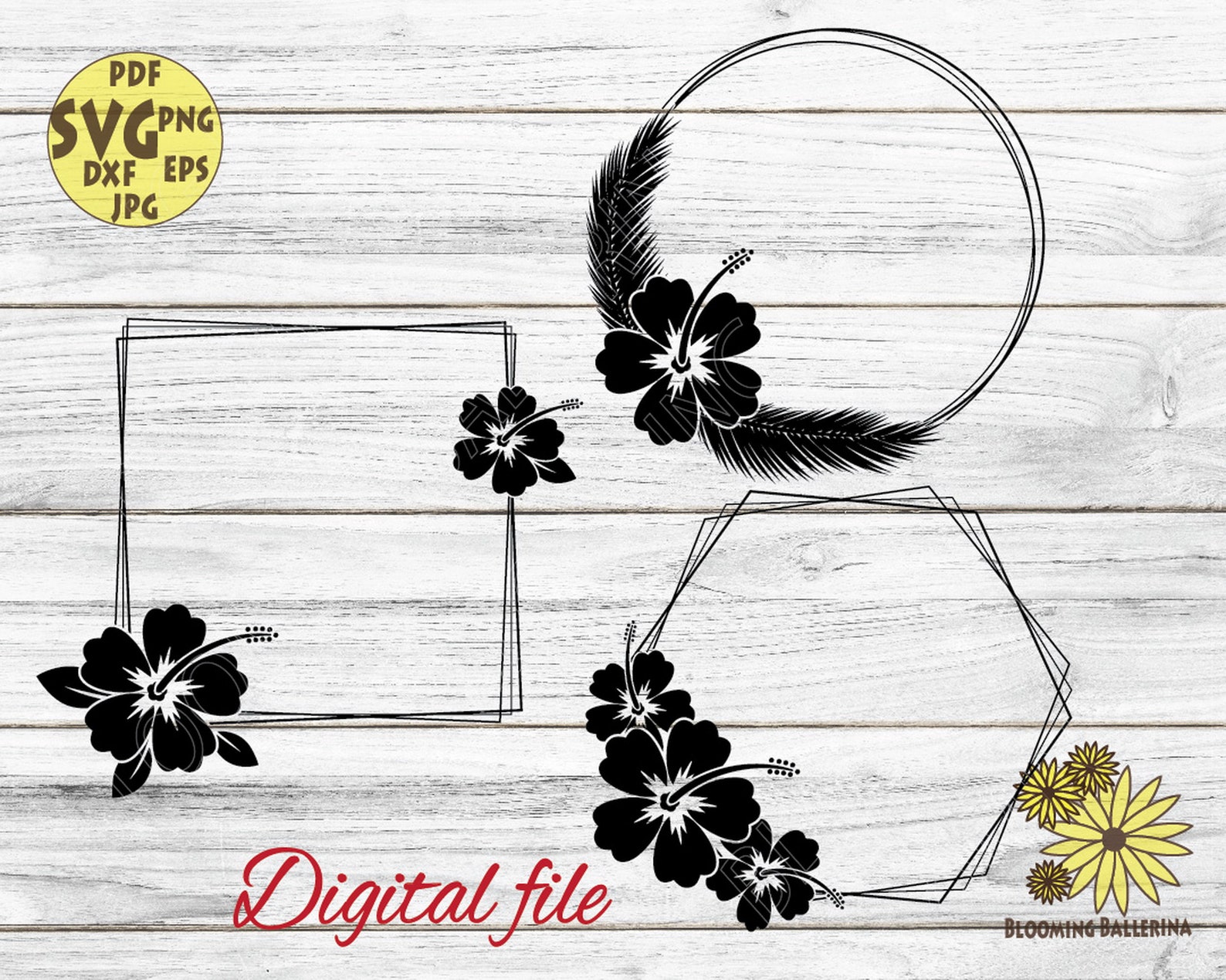 Hibiscus Svg Tropical Svg Geometrical Frames Svg Frame Svg | Etsy