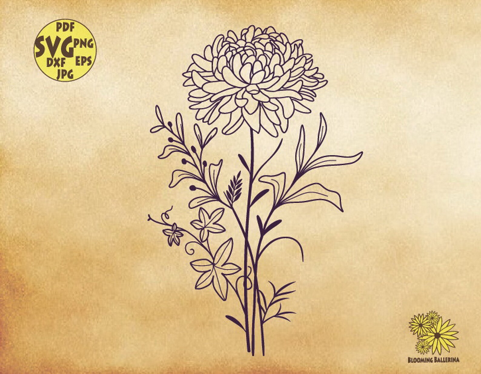 Chrysanthemum Svg, November Birth Flower Svg, Floral Zodiac Svg ...