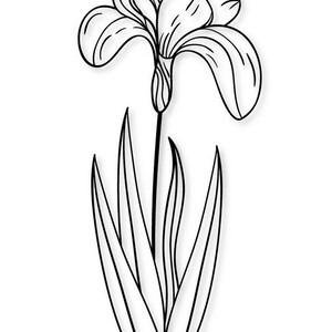 Iris Svg, Simple Flower Svg, Minimalist Svg, Iris Flower Cut File, Iris ...