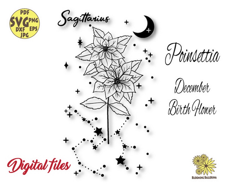 Poinsettia December Birth Flower Svg December Birth Card - Etsy