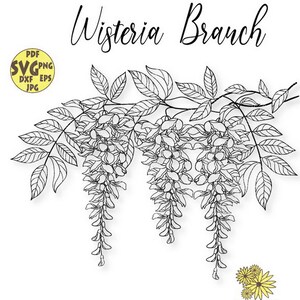 Wisteria Svg, Wisteria Flowers, Wisteria Flower Svg, Wisteria Digital ...