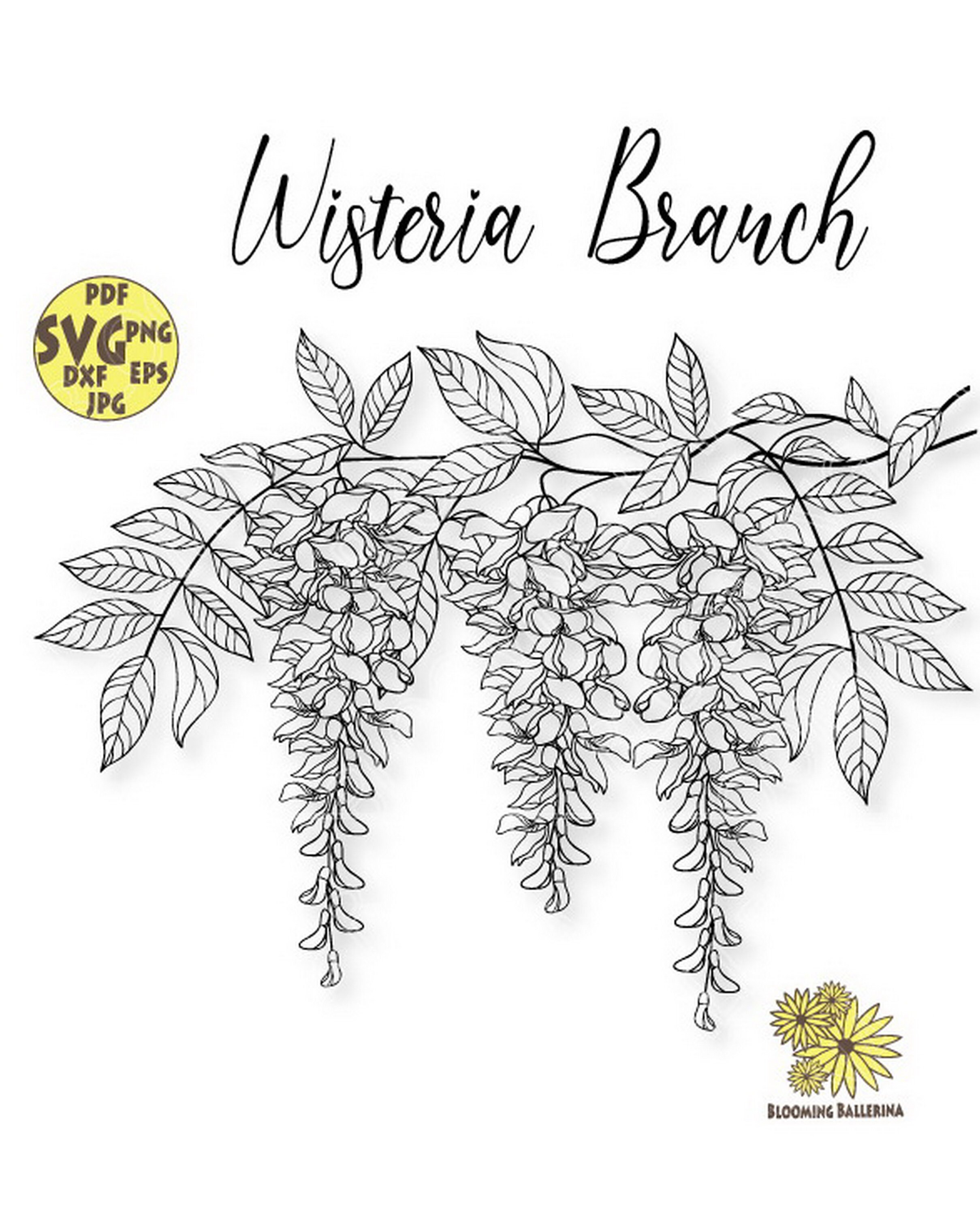 Wisteria Svg, Wisteria Flowers, Wisteria Flower Svg, Wisteria Digital ...