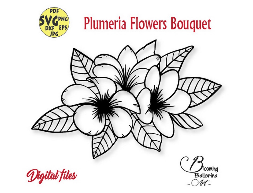 Plumeria Flower Svg, Tropical Flower Svg, Hawaii Svg, Summer Svg ...