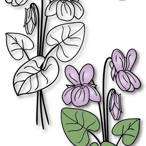 Violets Digital Files, Viola Flowers Svg, Pansy Png, Violets Png ...