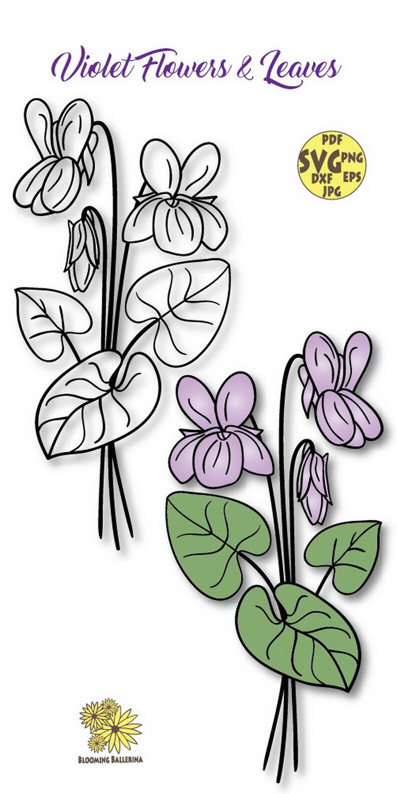 Violets Digital Files, Viola Flowers Svg, Pansy Png, Violets Png ...