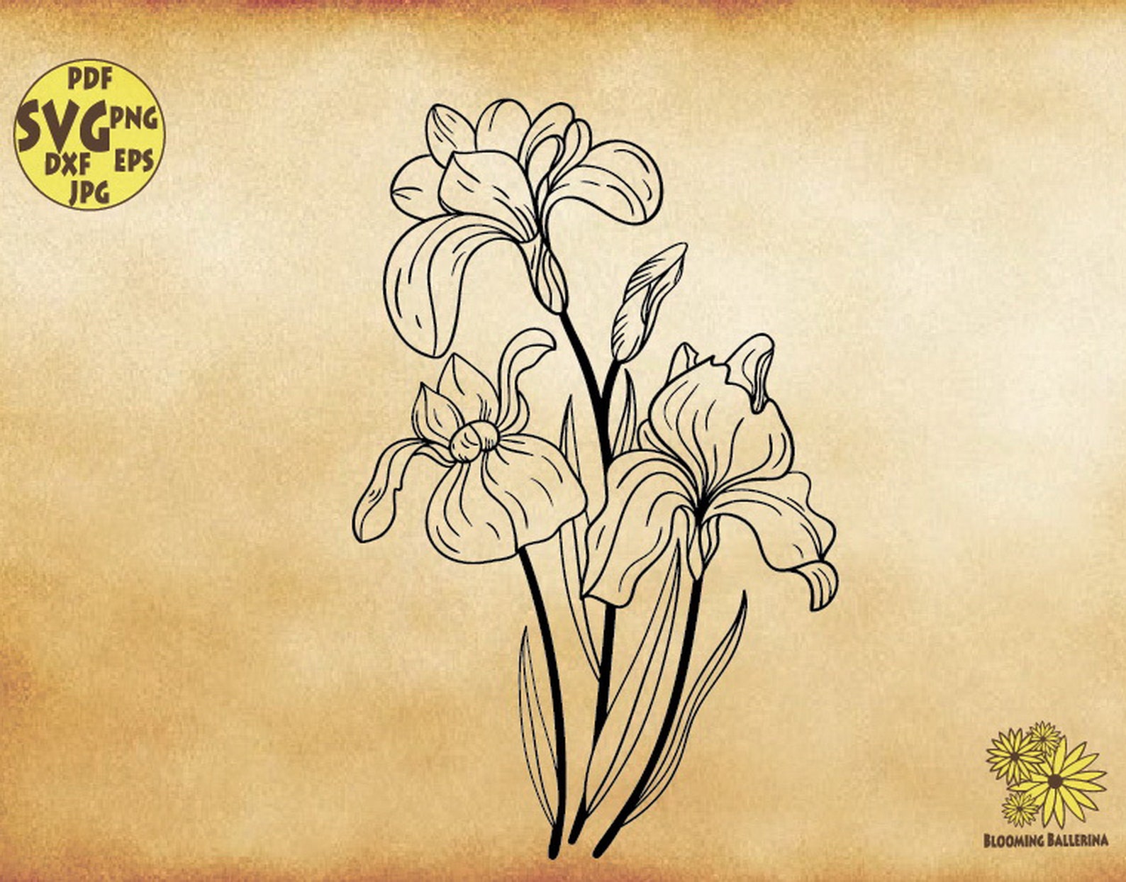 Iris Flower Bouquet Svg File, February Birth Flower Svg, Iris Flower ...