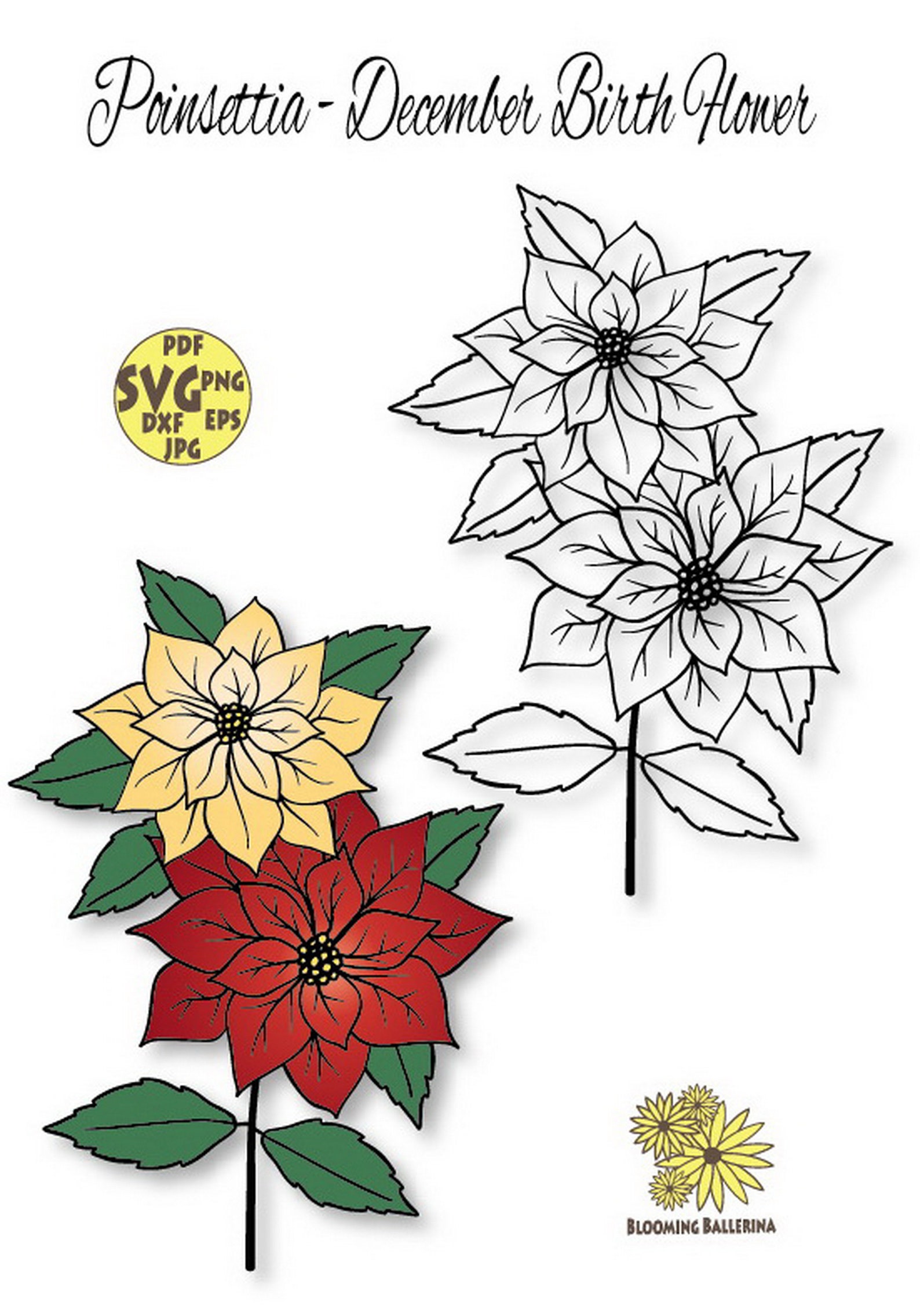 Poinsettia Flower Svg File December Birth Flower Svgwhite - Etsy