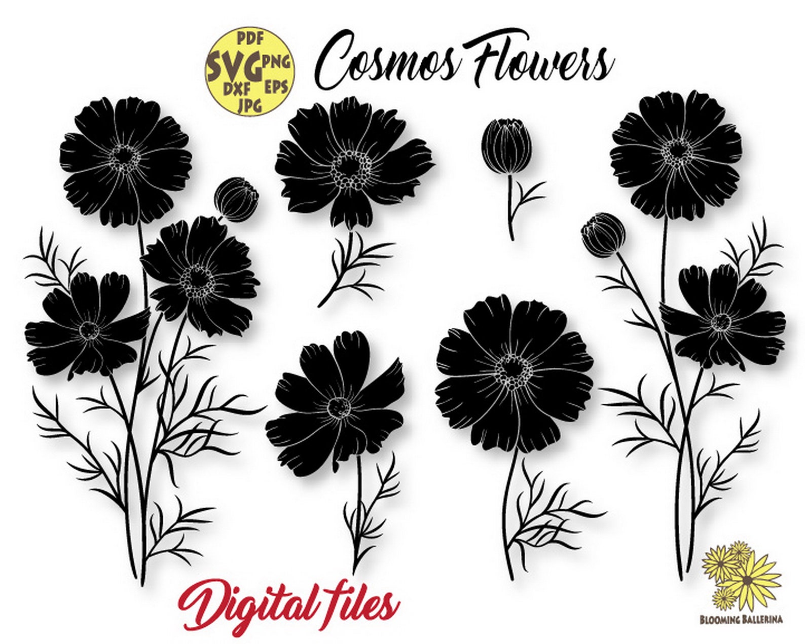 October Birth Month Flower Svgcosmos Flower Wedding Svg File - Etsy