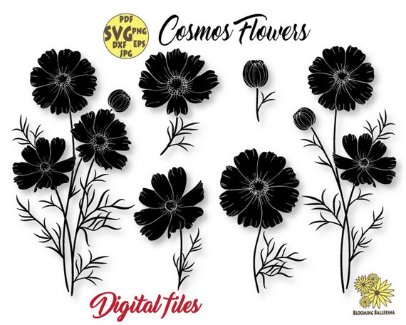 October Birth Month Flower Svgcosmos Flower Wedding Svg File - Etsy