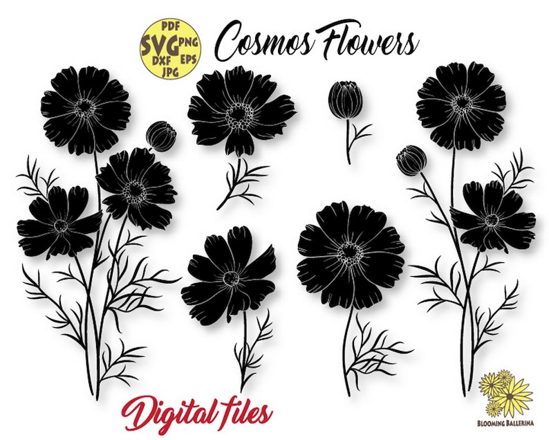 October Birth Month Flower Svgcosmos Flower Wedding Svg File - Etsy