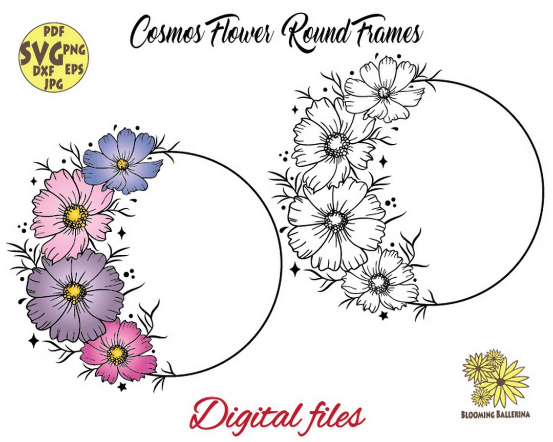 Cosmos Flower Frame Svg File, Cosmos Flower Svg, October Birth Flower ...