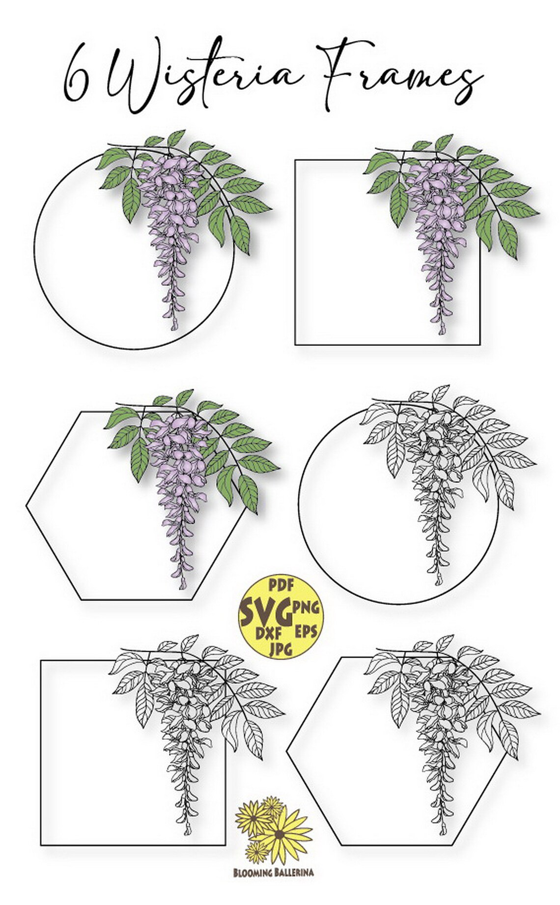 Wisteria Svg Wisteria Png Wisteria Frames Svg Floral Frames - Etsy