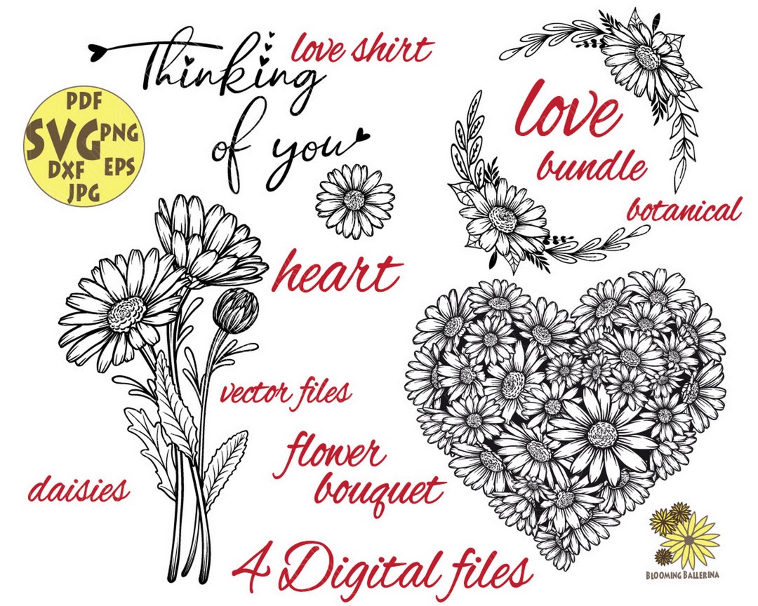 Daisies Svg, Daisy Svg, Valentine Bundle Svg, Daisy Bouquet Svg, Daisy ...