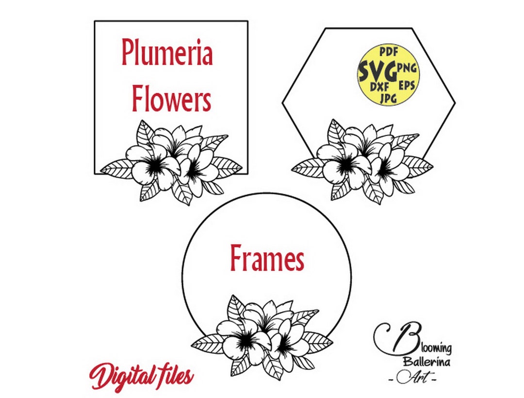 Plumeria Bundle Frames Svg, Floral Borders Svg, Plumeria Svg, Plumeria ...