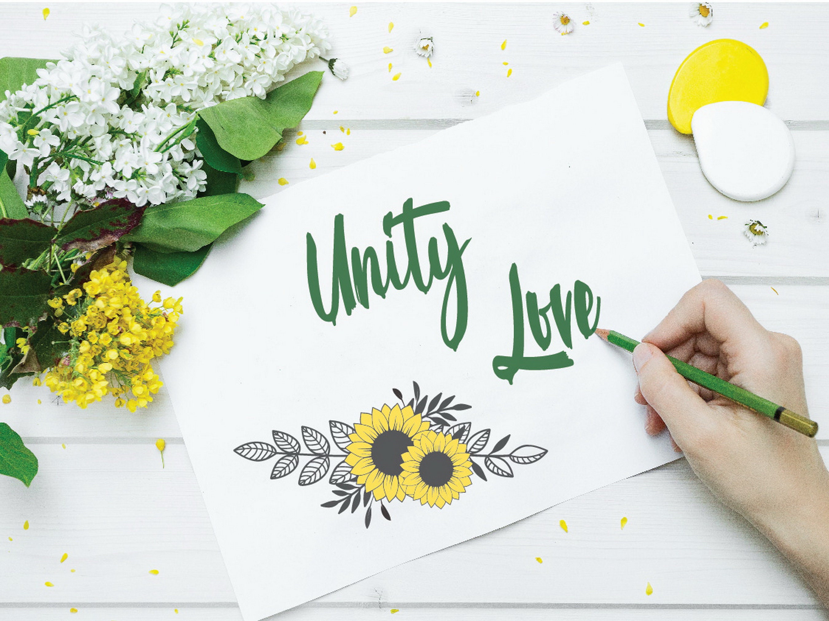 Sunflower Svg, Dividers Svg, Floral Svg, Botanical Svg, Border Svg ...