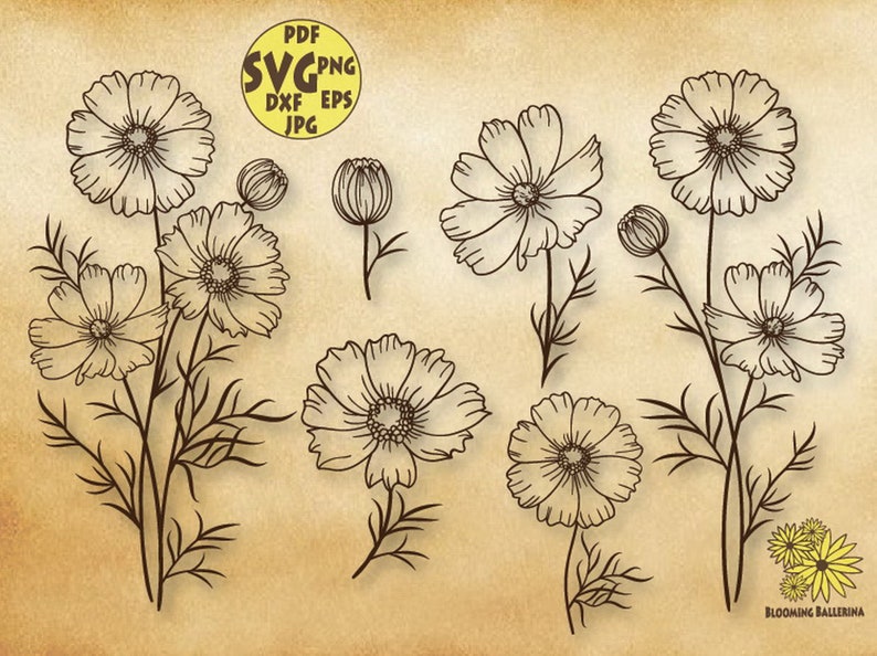 Cosmos Flower Wedding Svg File October Birth Month Flower - Etsy