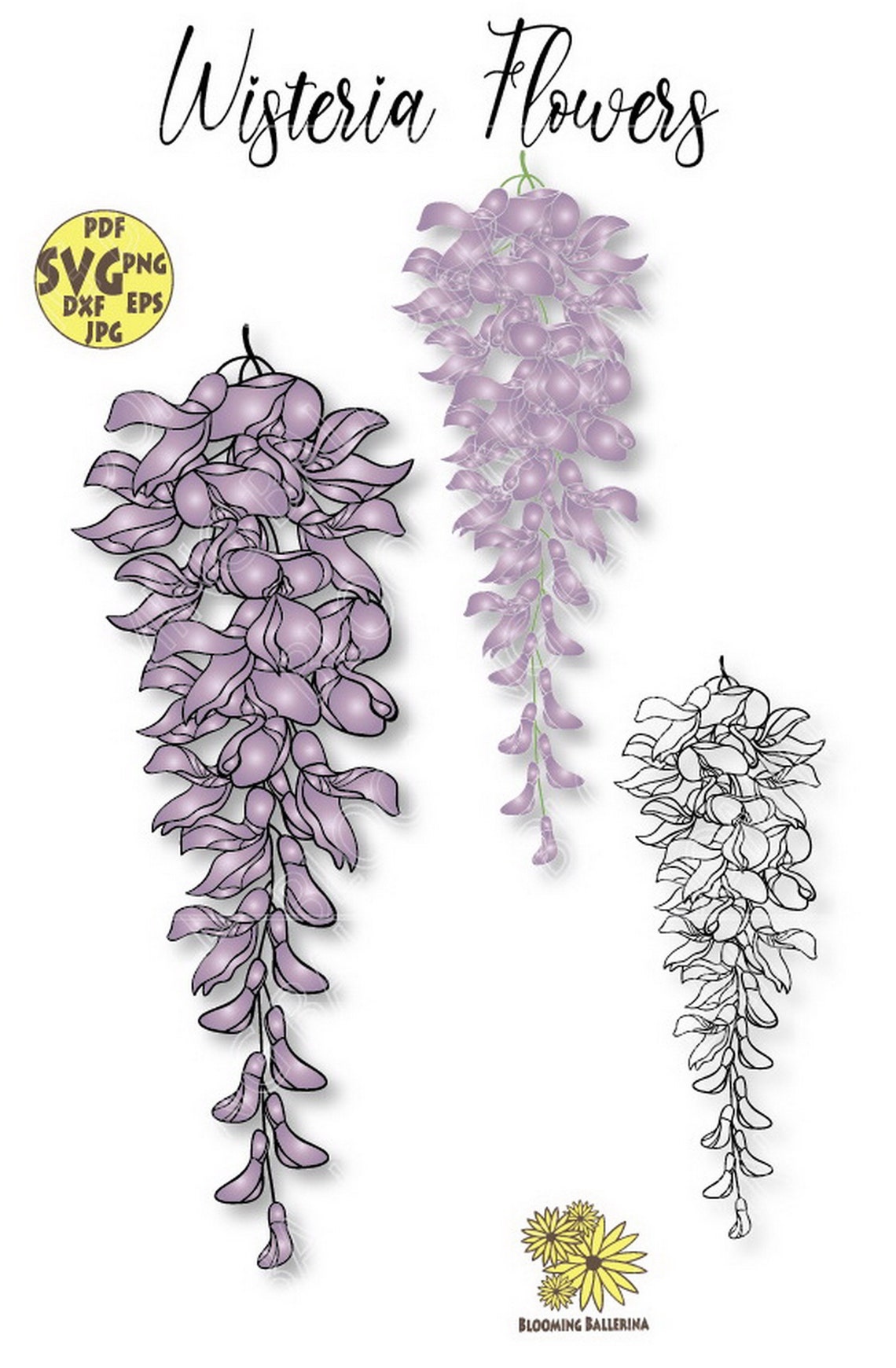 Wisteria Svg Bundle Wisteria Flower Svg Wisteria Png - Etsy