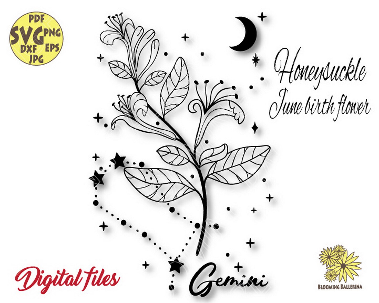 Honeysuckle June Birth Flower Svg June Birth Card Gift - Etsy