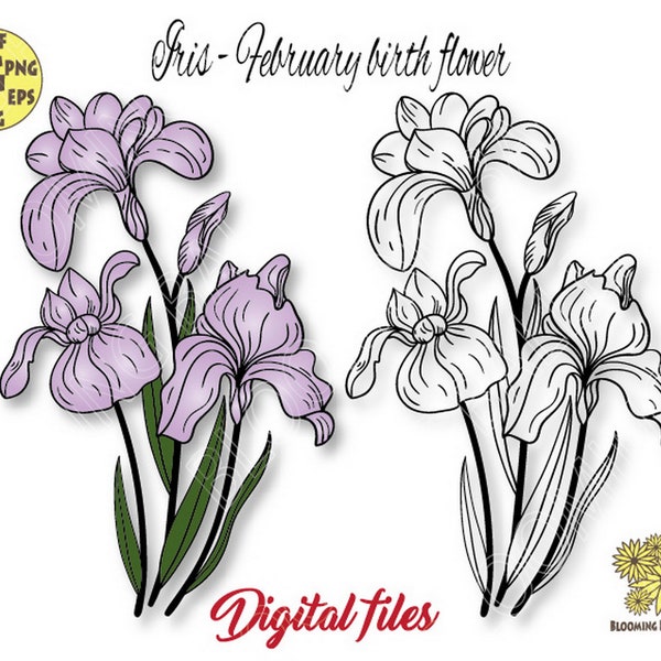 Iris Flower Art - Etsy