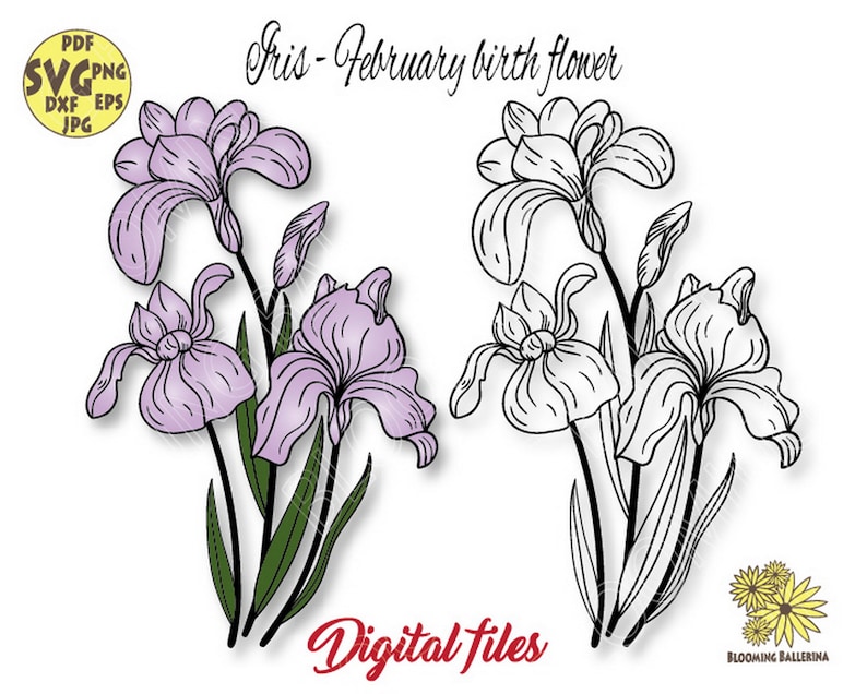 Iris Flower Bouquet Svg File February Birth Flower Svg Iris - Etsy
