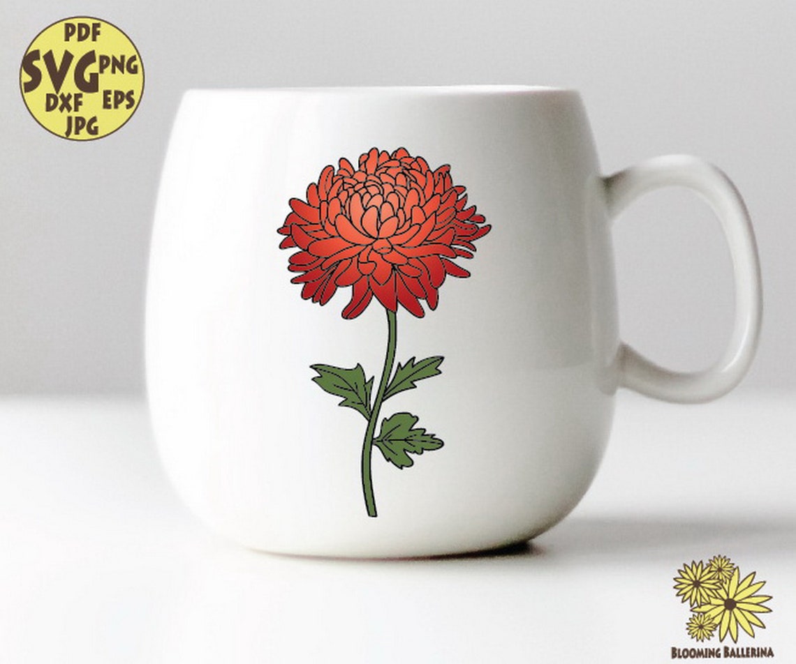 Chrysanthemum Flower Svg File, November Birth Flower Svg, Chrysanthemum ...