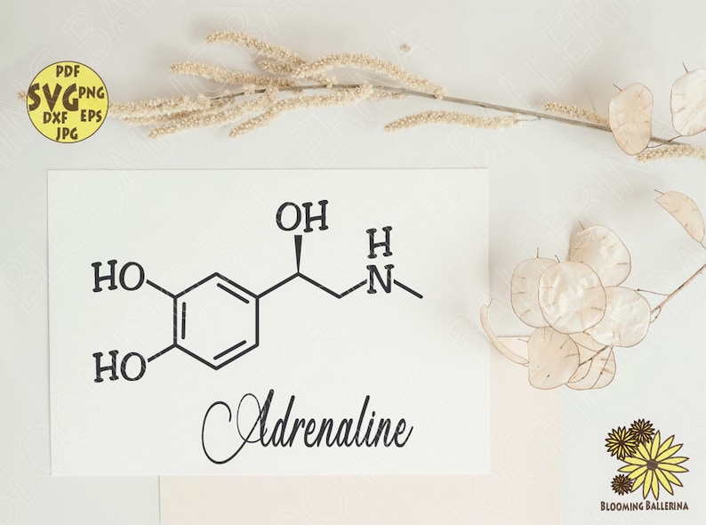 Adrenaline Molecule With Daisies and Leaves Svg, Floral Molecule Svg ...