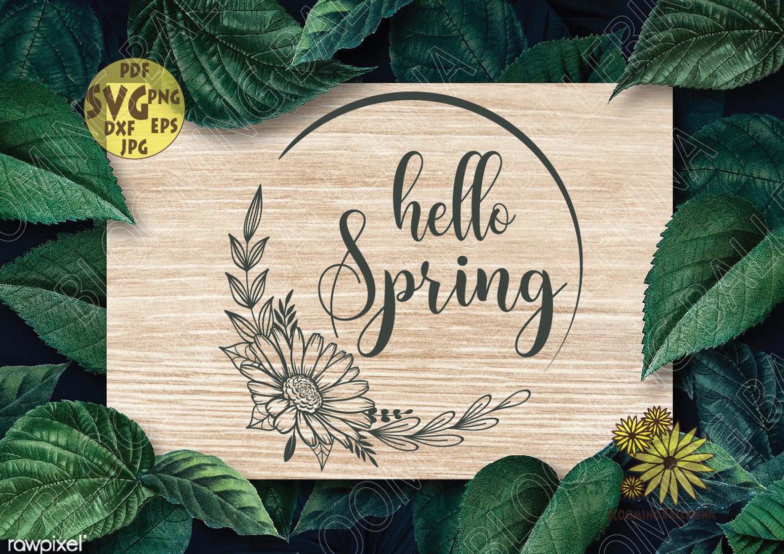 Hello Spring Svg Round Frame Svg Daisy Frames Svg Spring - Etsy