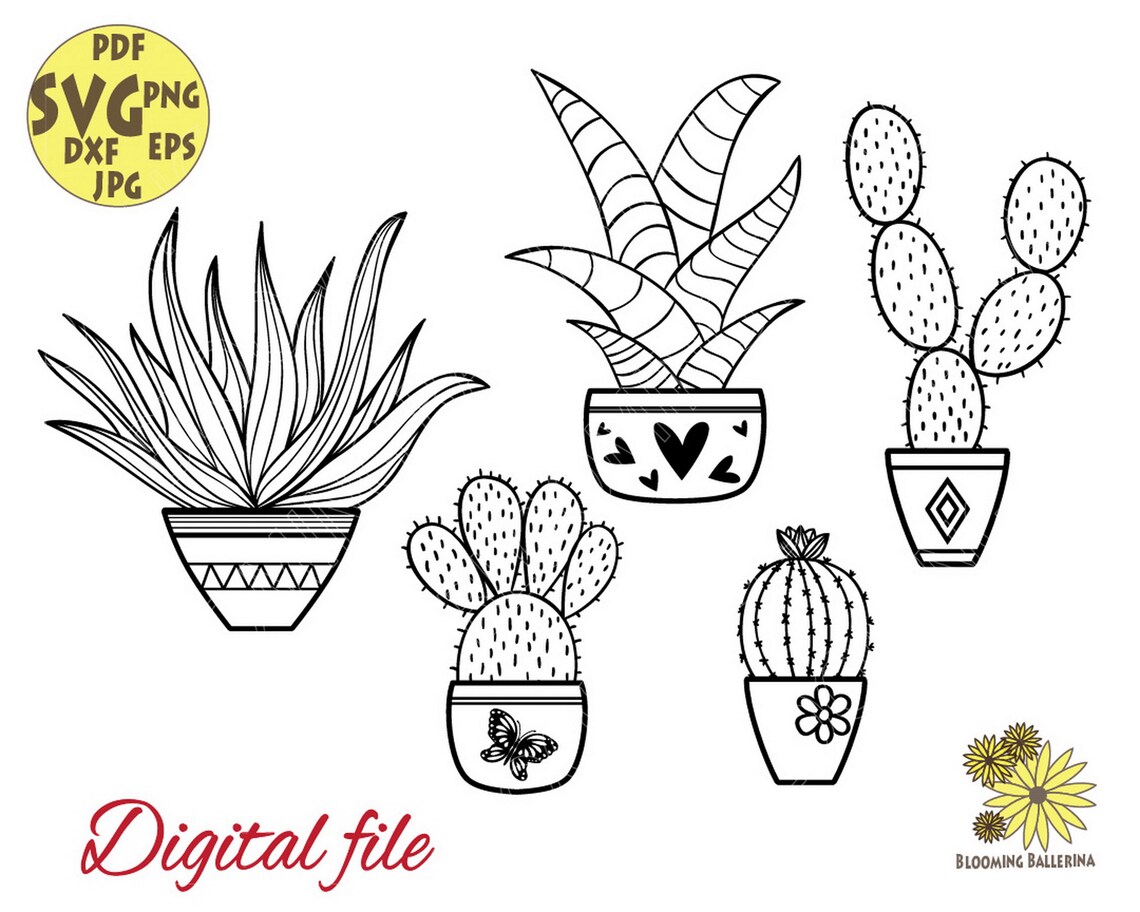 Cactus Pots Svg Plants Svg Succulents Svg Cactus Svg - Etsy