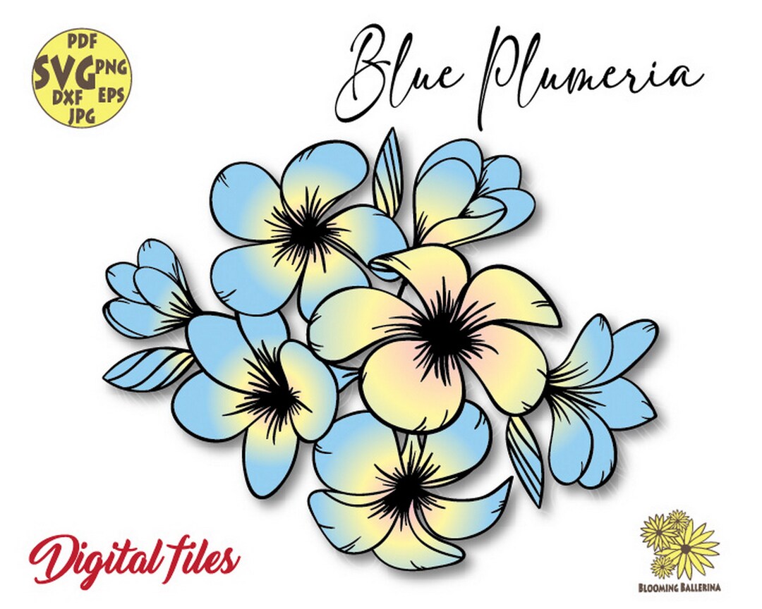 Plumeria Png, Tropical Flower Svg, Plumeria Svg, Hawaii Svg, Hawaiian ...