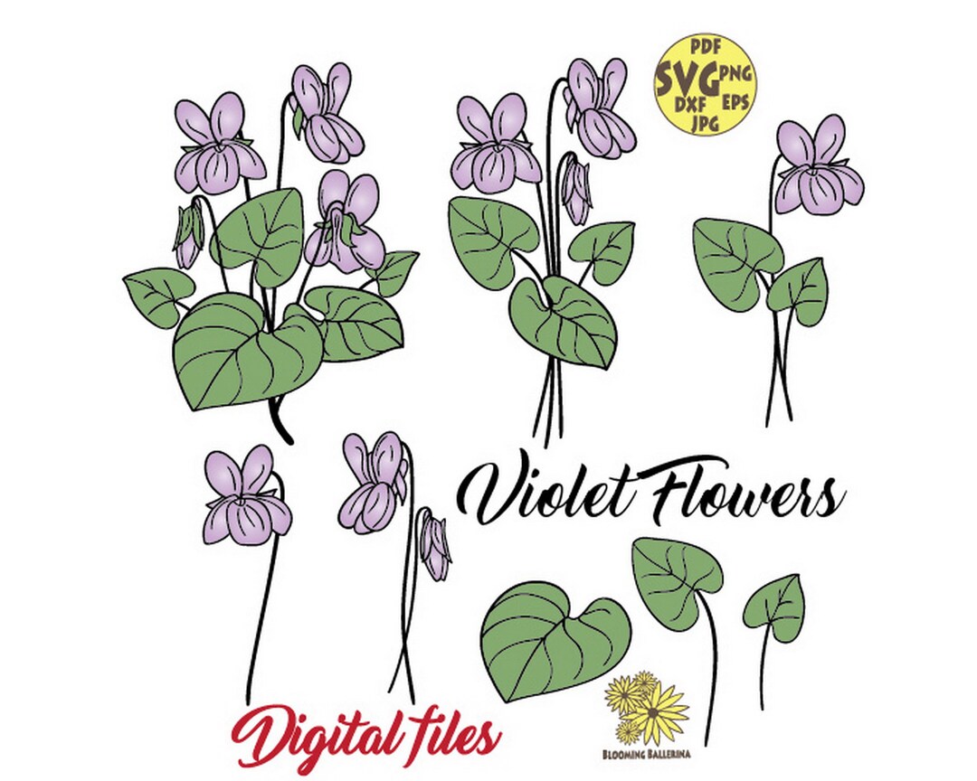 Bundle Violet Flowers, Violet Flower Svg File, Viola Png, February ...