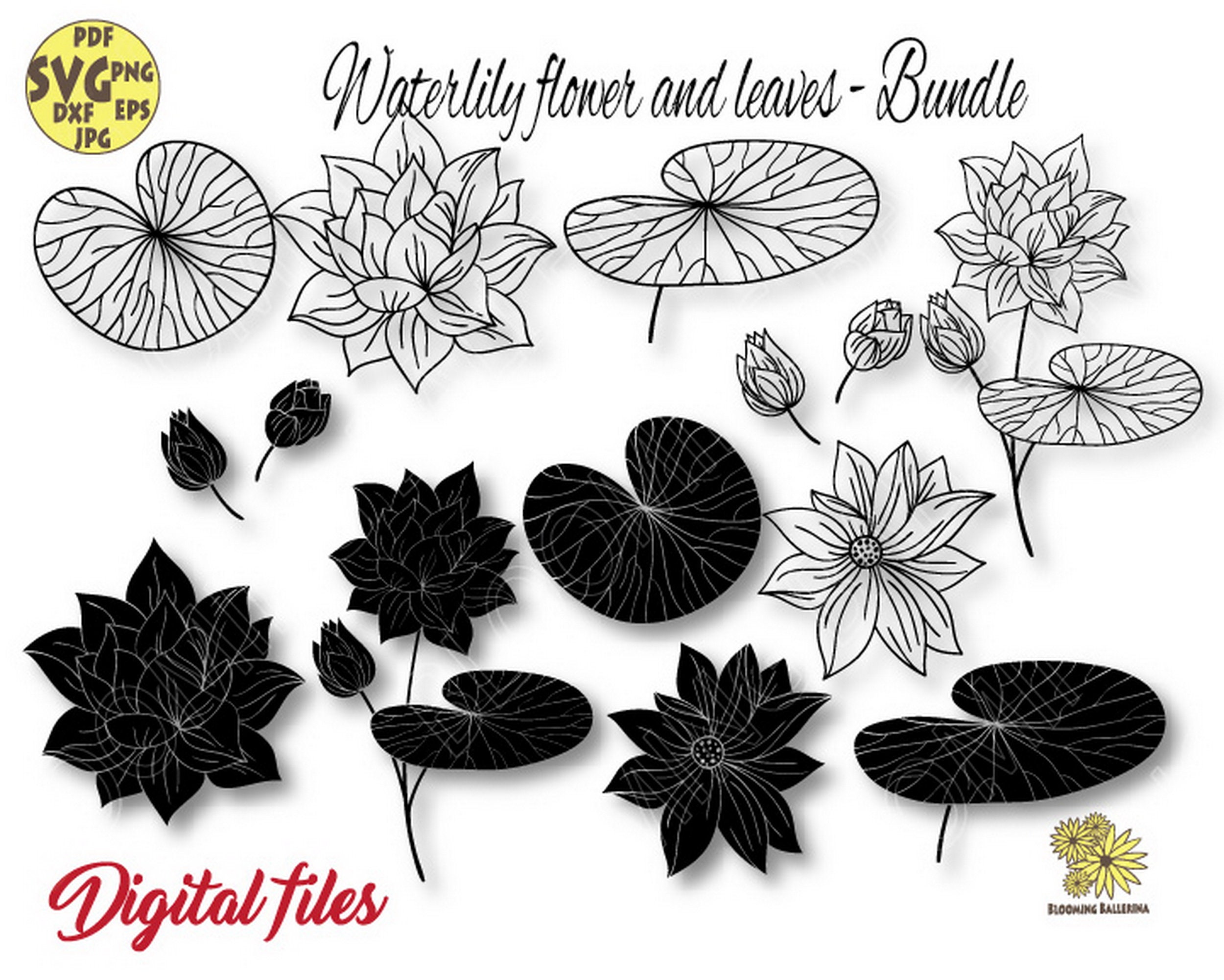 Water Lily Bundle Svg Files, Bundle Flower Svg, Water Lily Png, July ...