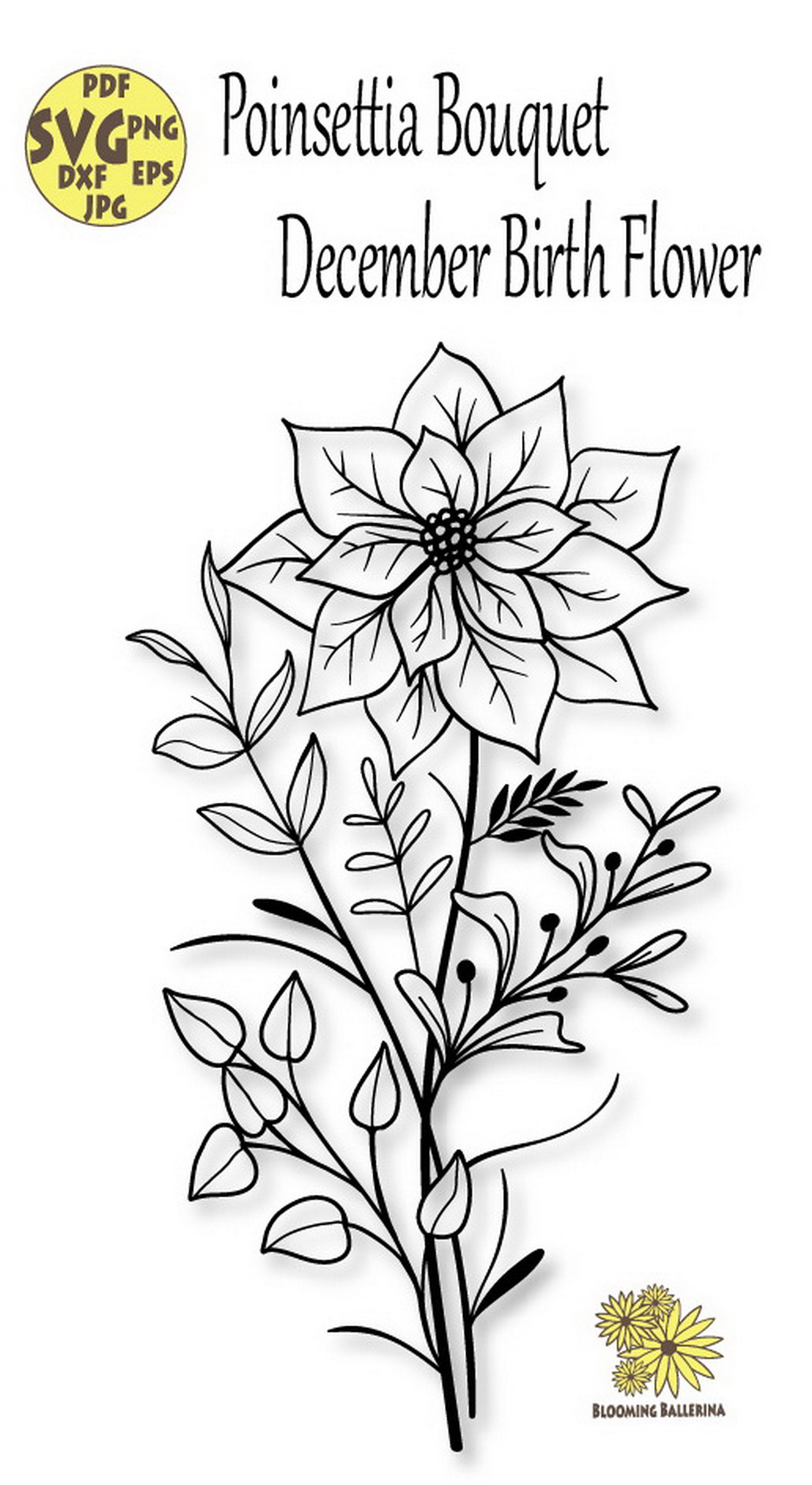 Poinsettia Flower Svg December Birth Flower Svg Birth - Etsy