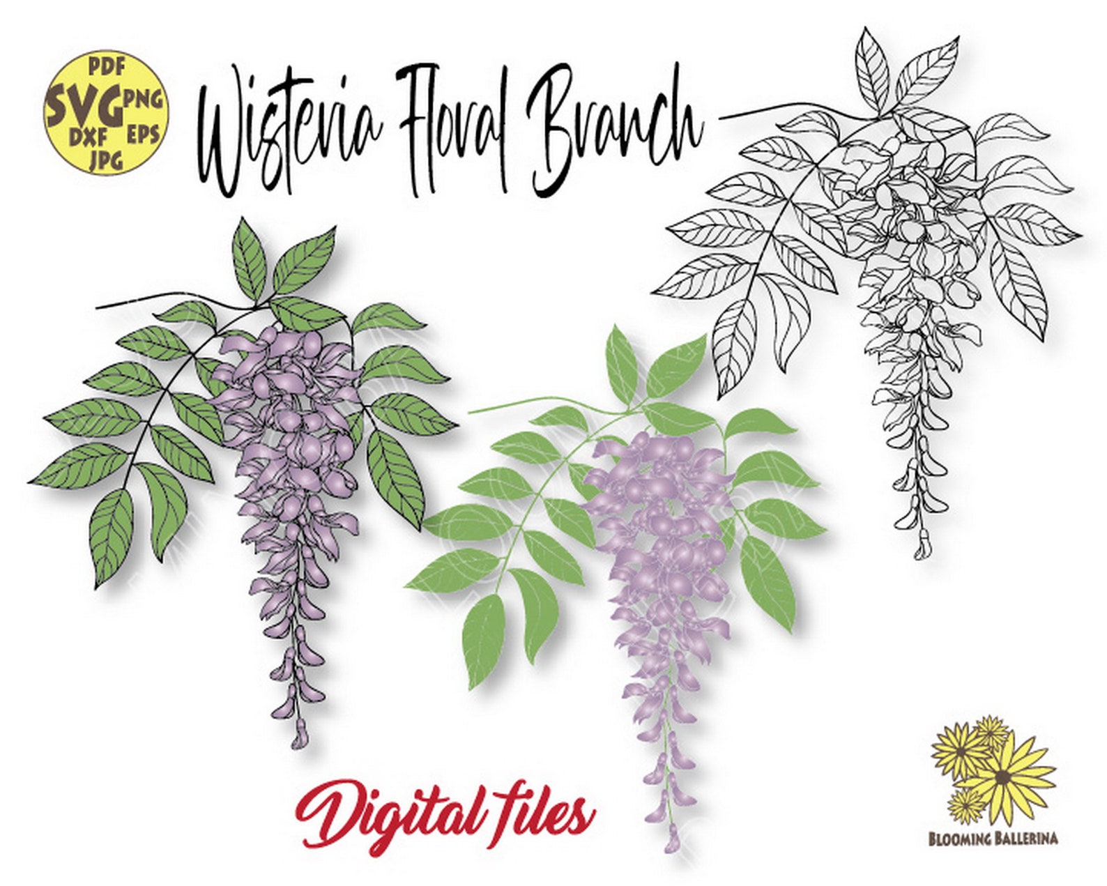 Wisteria Svg Bundle Wisteria Branches Svg Wisteria Png - Etsy