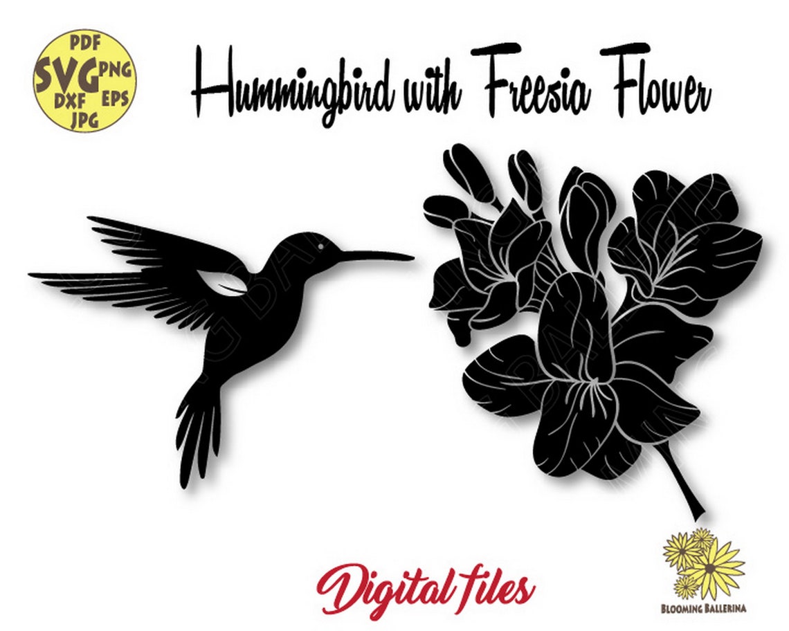 Hummingbird Svg Freesia Svg Floral Hummingbird Svg Floral - Etsy