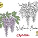 Wisteria Svg Wisteria Clipart Wisteria Flower Branch Svg - Etsy