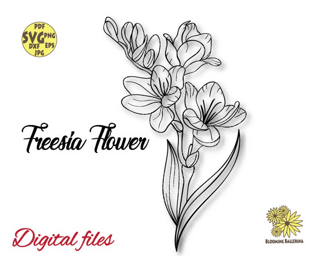 Hand Drawn Freesia Svg, Wedding Flower Digital File, Freesia Svg, Freesia Png, Freesia Flower ...