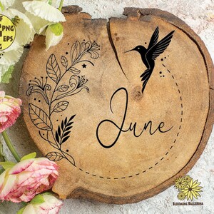 Hummingbird Svg, Honeysuckle Svg, June Birthday Svg, Gemini Svg, Birth ...